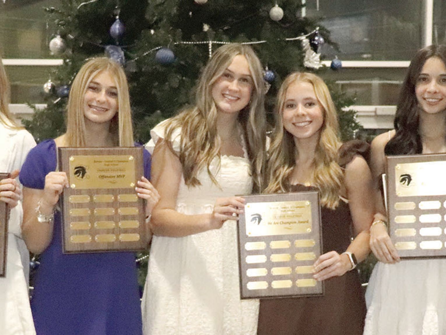 Champion Volleyball Awards