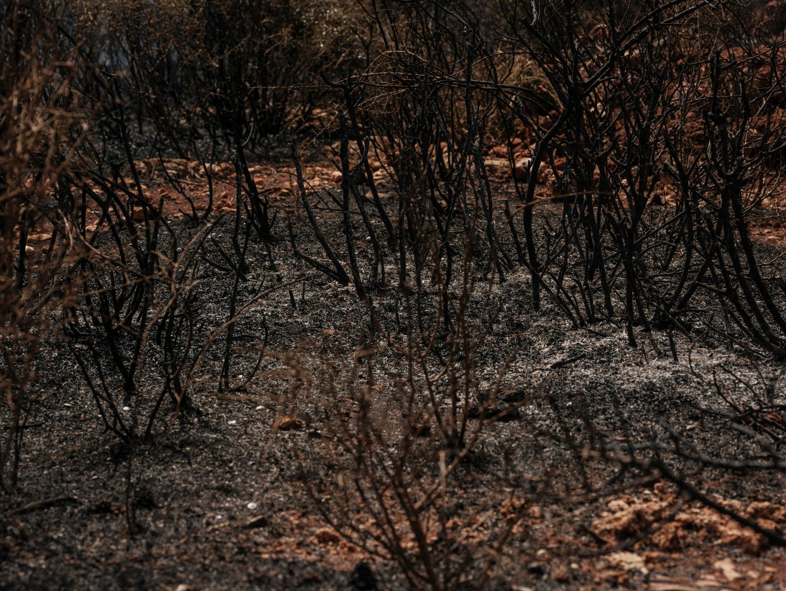 Fire marshal: Countywide total burn ban takes effect at midnight