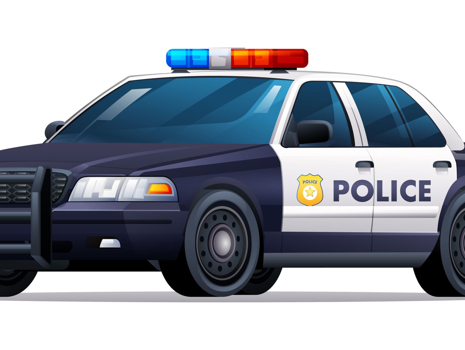 POLICE REPORTS