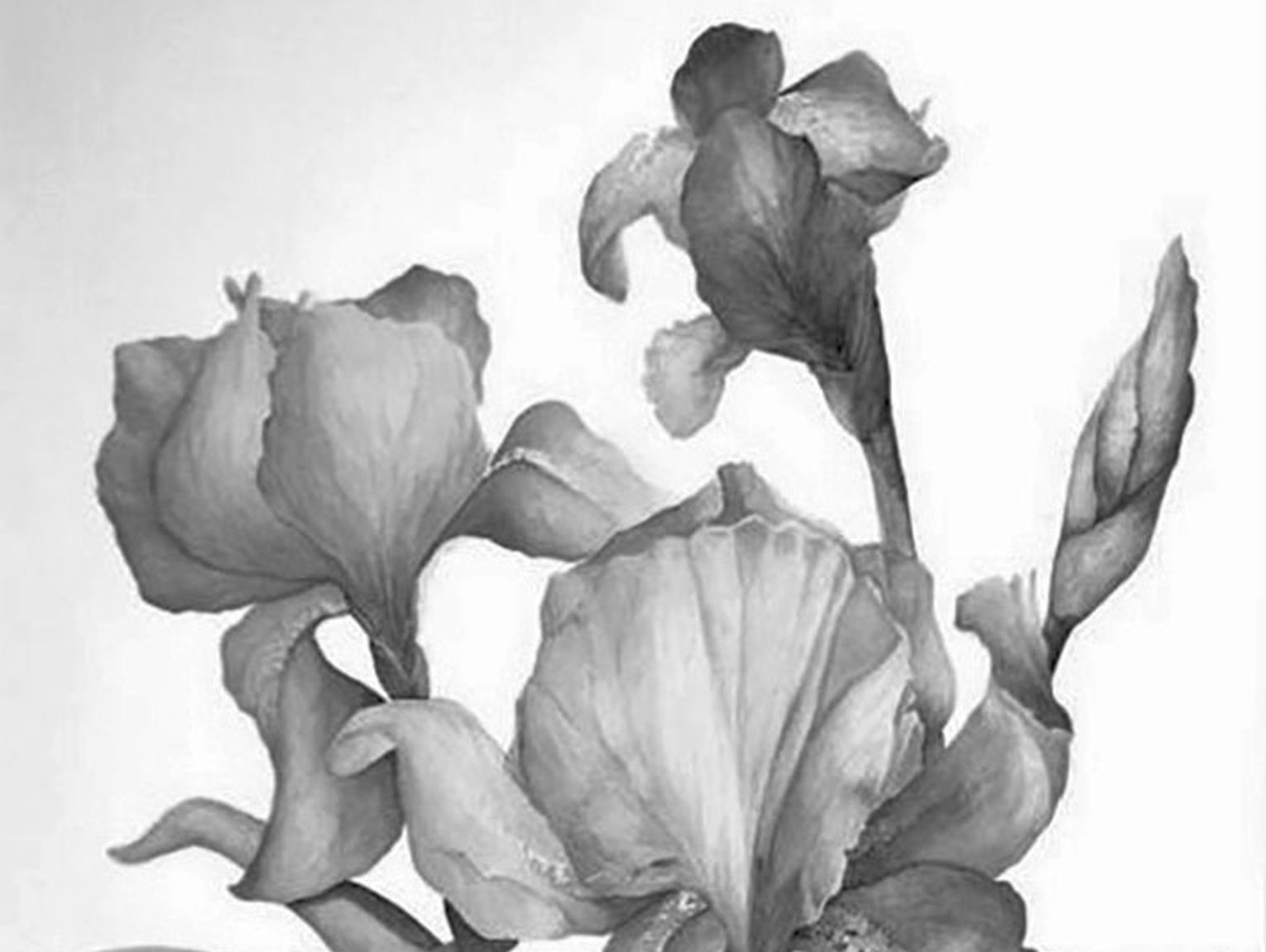 Shipman earns ‘Artist of Month’ honors