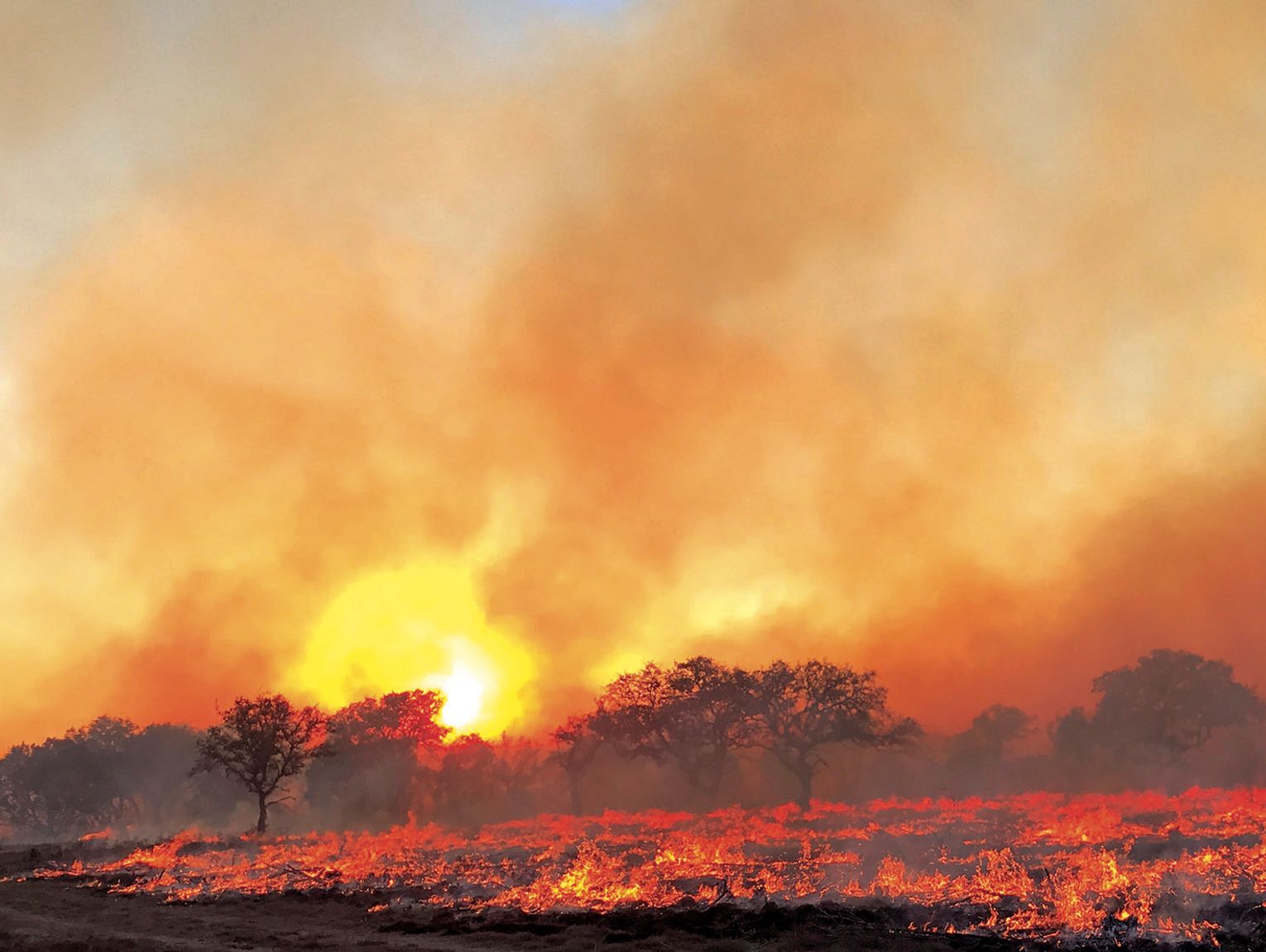 Wildfires put county’s fire coalition in spotlight